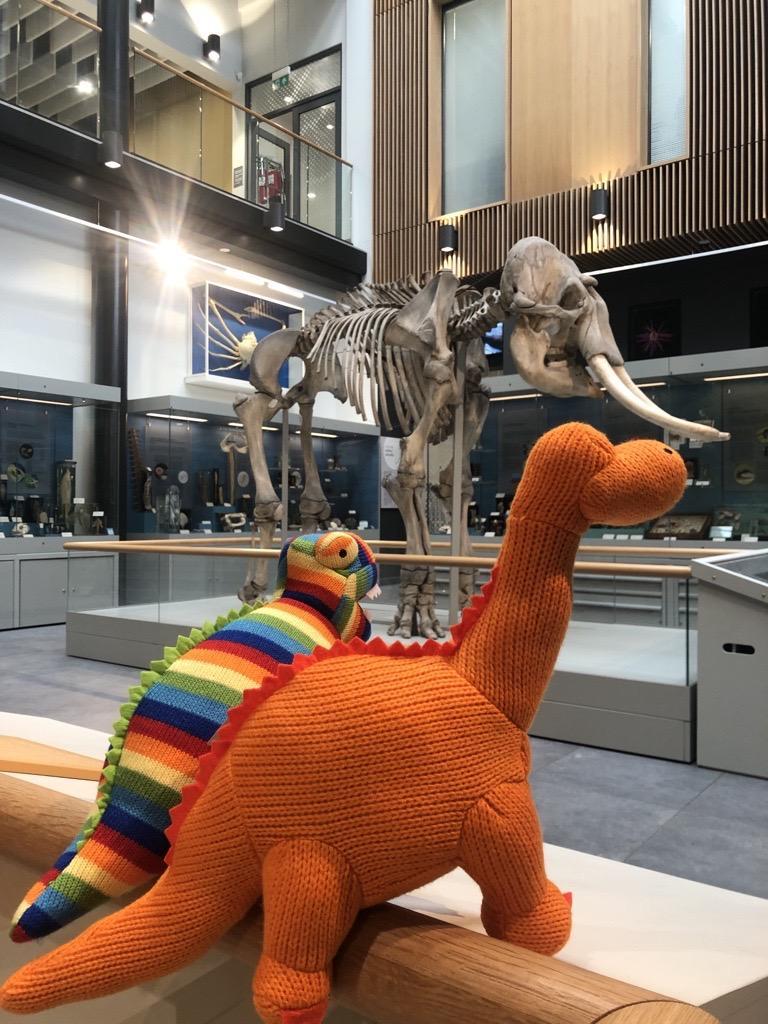 Dino Day at the Cole Museum of Zoology! | What's On Reading